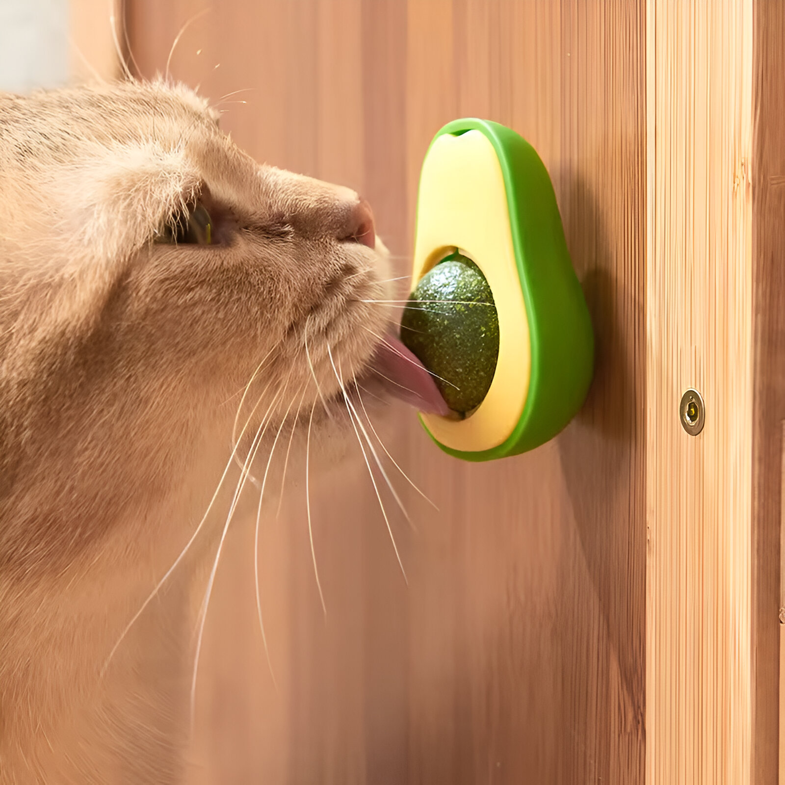 AVOCADO CATNIP CON ADHESIVO – Agromascotas
